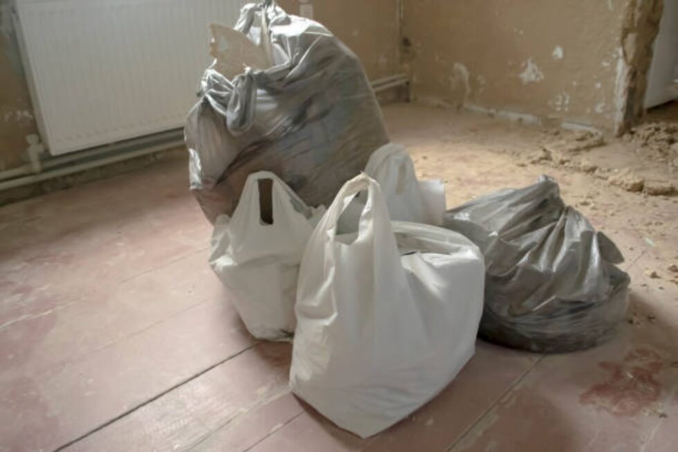 Water Damage and Mold: Key Insights and Prevention Tips