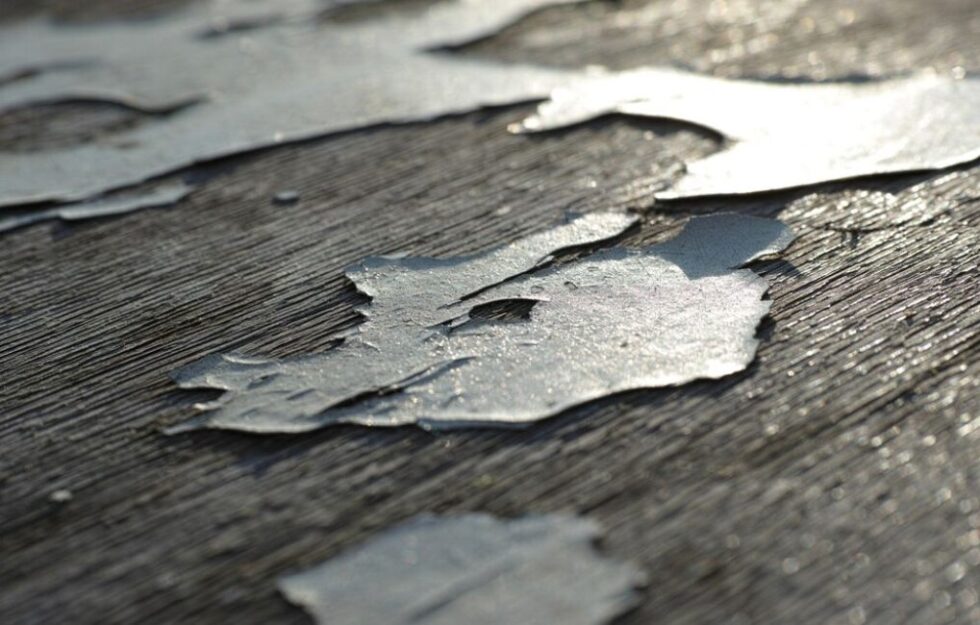 Foundation Water Damage: Warning Signs & Fixes